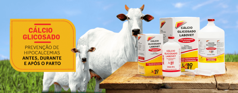 SAIBA QUAIS SÃO OS CUIDADOS PARA QUE SUA VACAS PRENHES TENHAM UMA ...