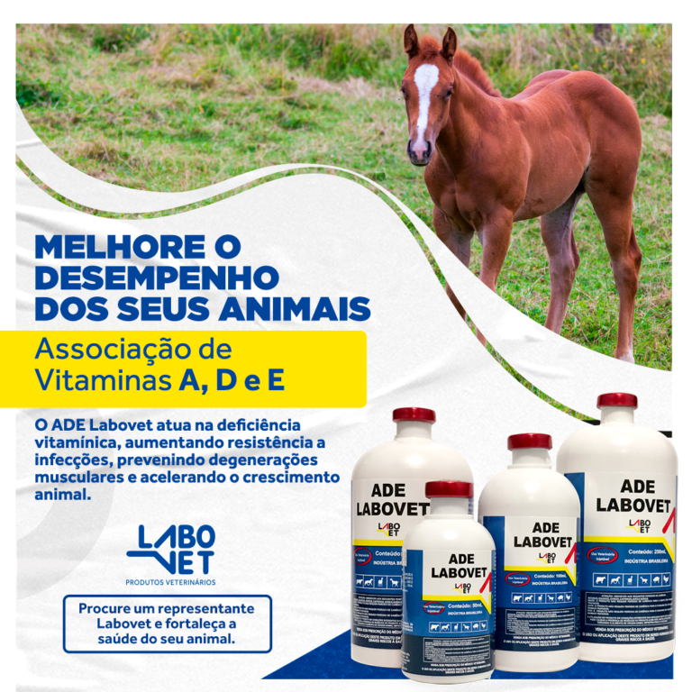 NUTRIÇÃO ANIMAL: BOVINA E EQUINA | Labovet Produtos Veterinários