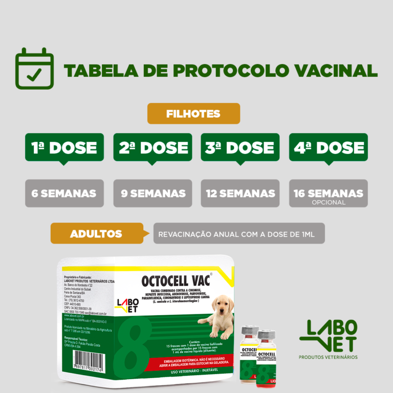 HEPATITE INFECCIOSA EM CÃES: TUDO QUE VOCÊ PRECISA SABER | Labovet ...