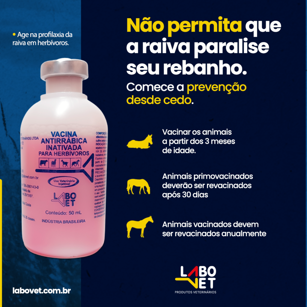 RAIVA: UM GRANDE PERIGO PARA OS CAVALOS | Labovet Produtos Veterinários