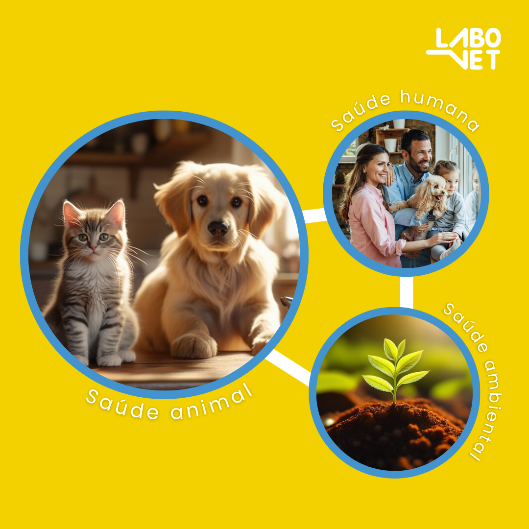 SAÚDE ÚNICA E A PROMOÇÃO DE UM MUNDO MAIS SAUDÁVEL | Labovet Produtos ...